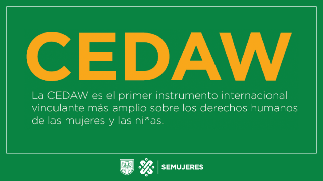 LA CEDAW Y SU IMPORTANCIA EN LA GARANTÍA DE LOS DERECHOS DE LAS MUJERES